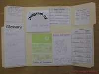 Nonfiction Book Projects